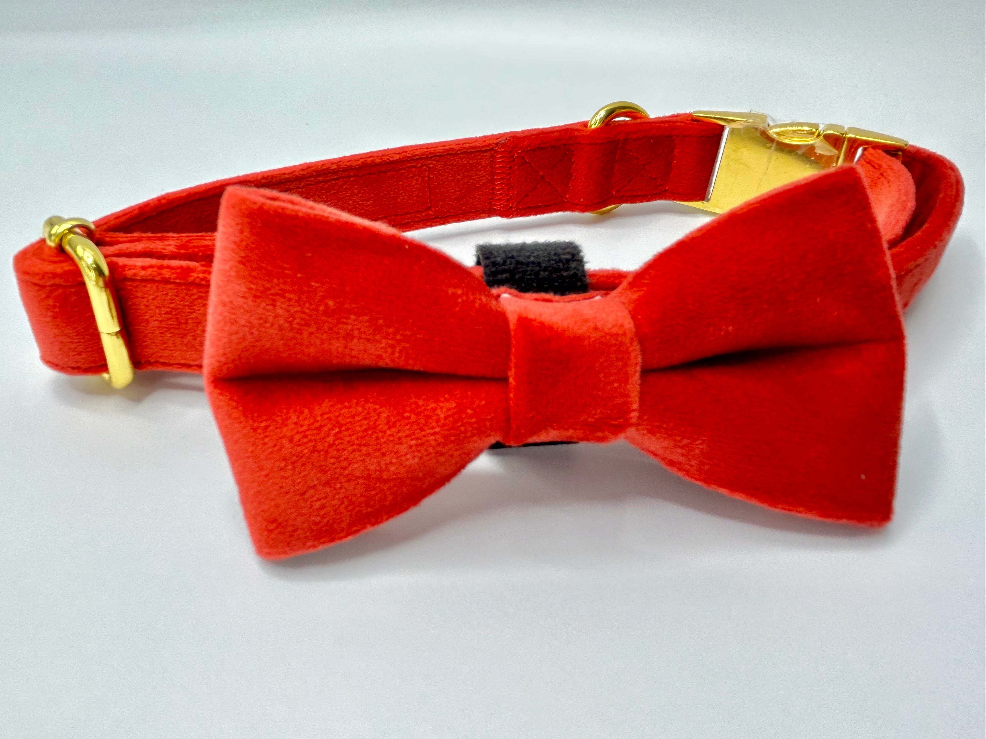 VELVET BOY BOW – trbpaws